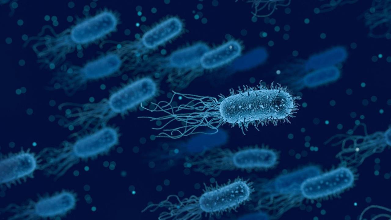 Eco-Changemakers: Jeff Leach | Rewilding Your Gut Microbiome