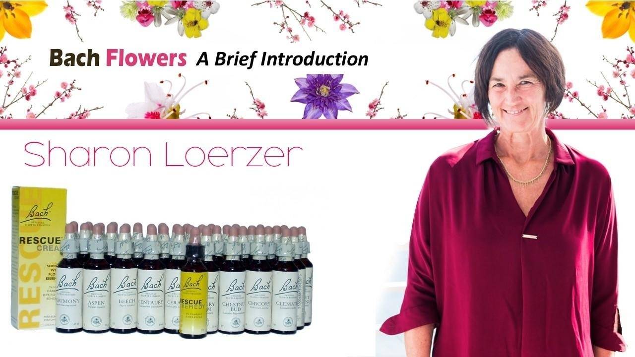 Bach Flowers: A brief introduction