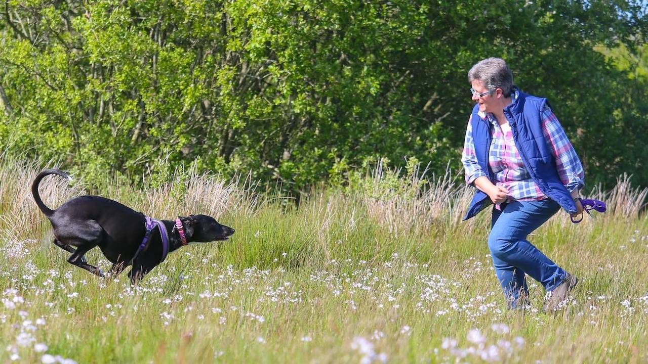 Canine Confidence with Janet Finlay
