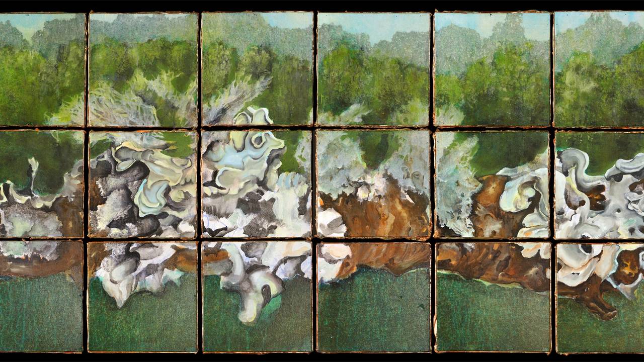 Artist Spotlight #4 Tom Schulz