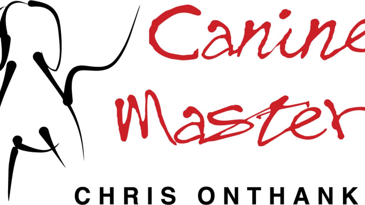 Welcome | Canine Master
