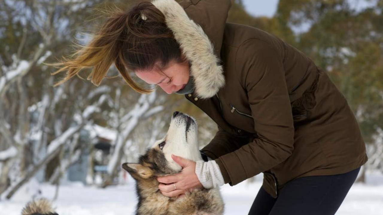 Speak Their Language: 4 Ways to Show Your Dog You Care