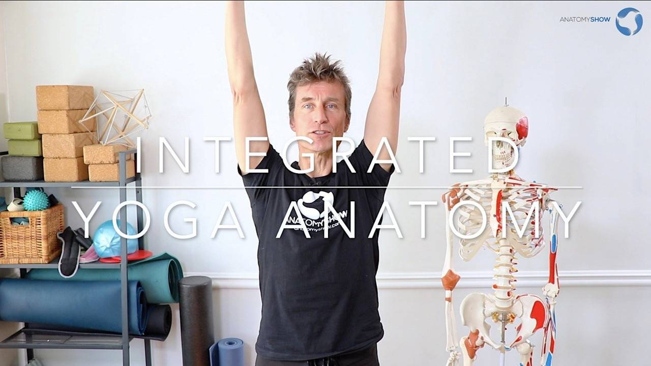 Deepen your breath and connect your body with integrated yoga anatomy