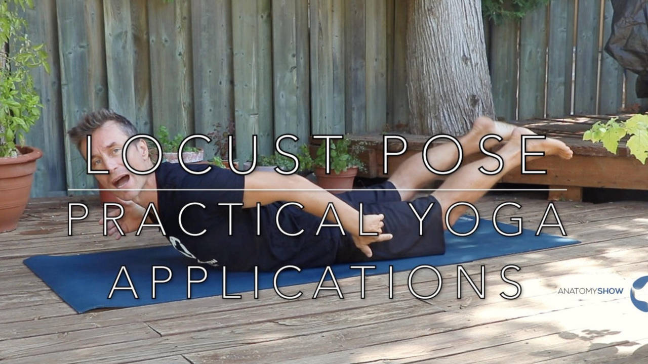 Locust Pose - Practical Yoga Applications