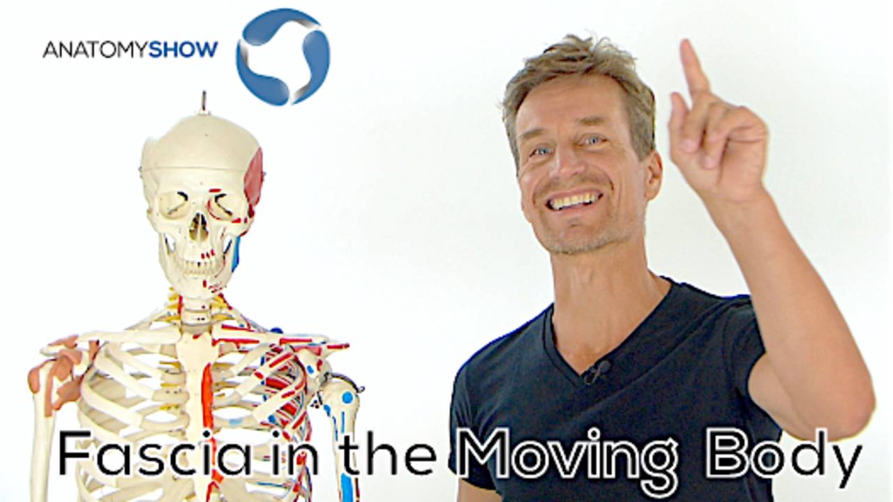 Learn about fascia and movement with this free online course