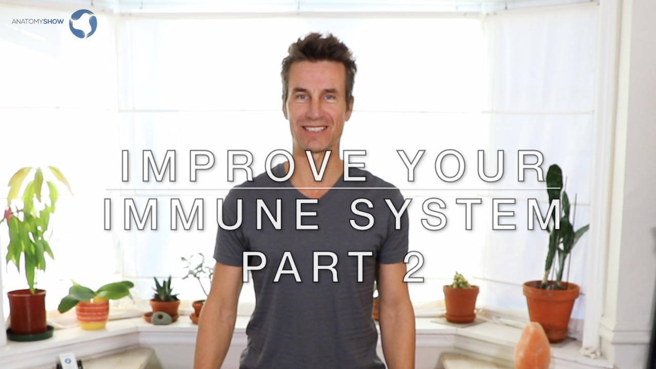 How to improve your immune system with movement and exercise
