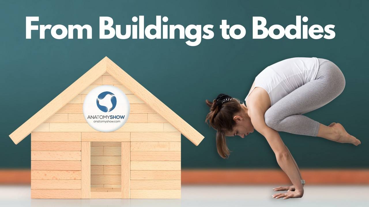 From Buildings to Bodies