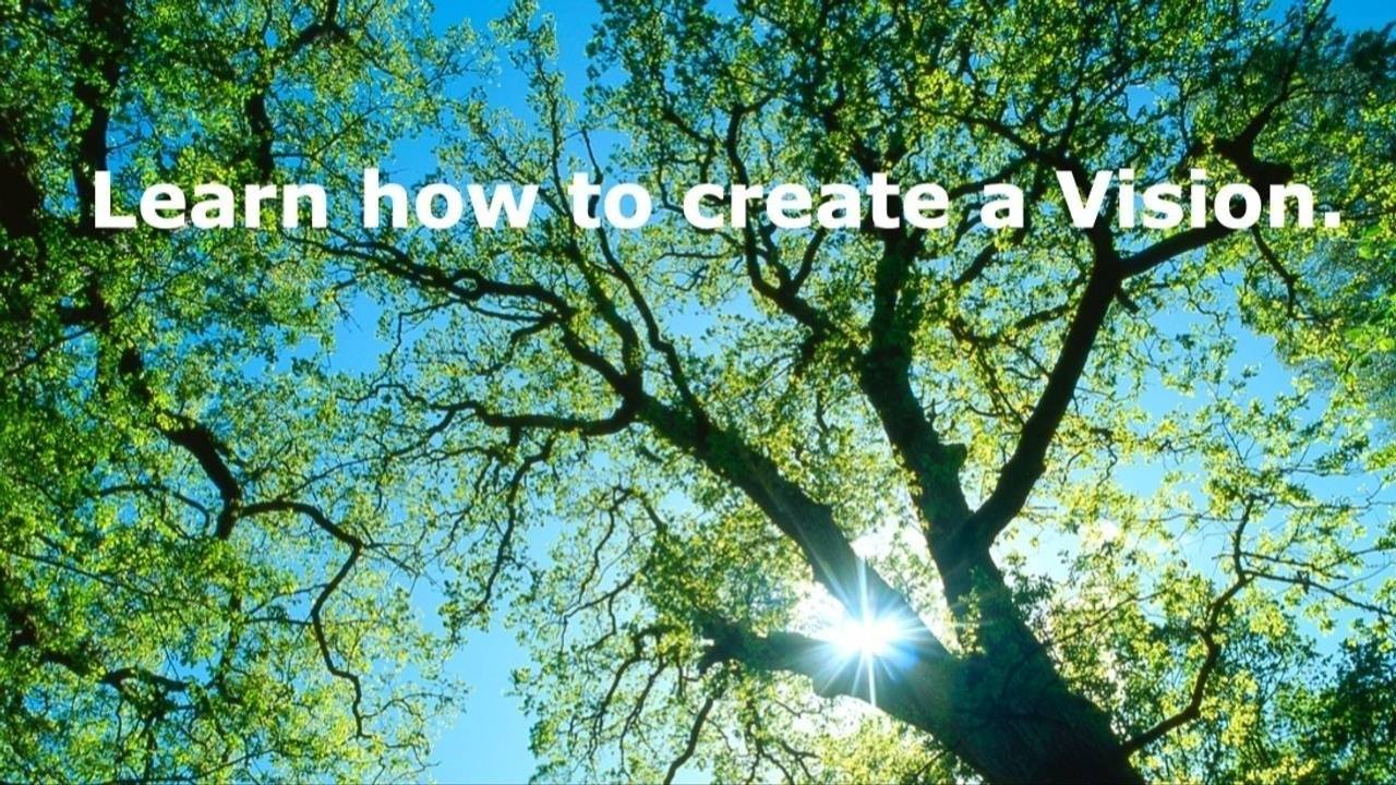 Why you need a Vision?