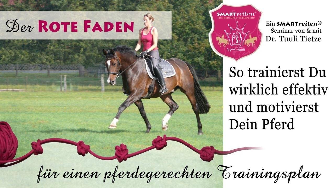 Der Rote Faden für einen pferdegerechten Trainingsplan