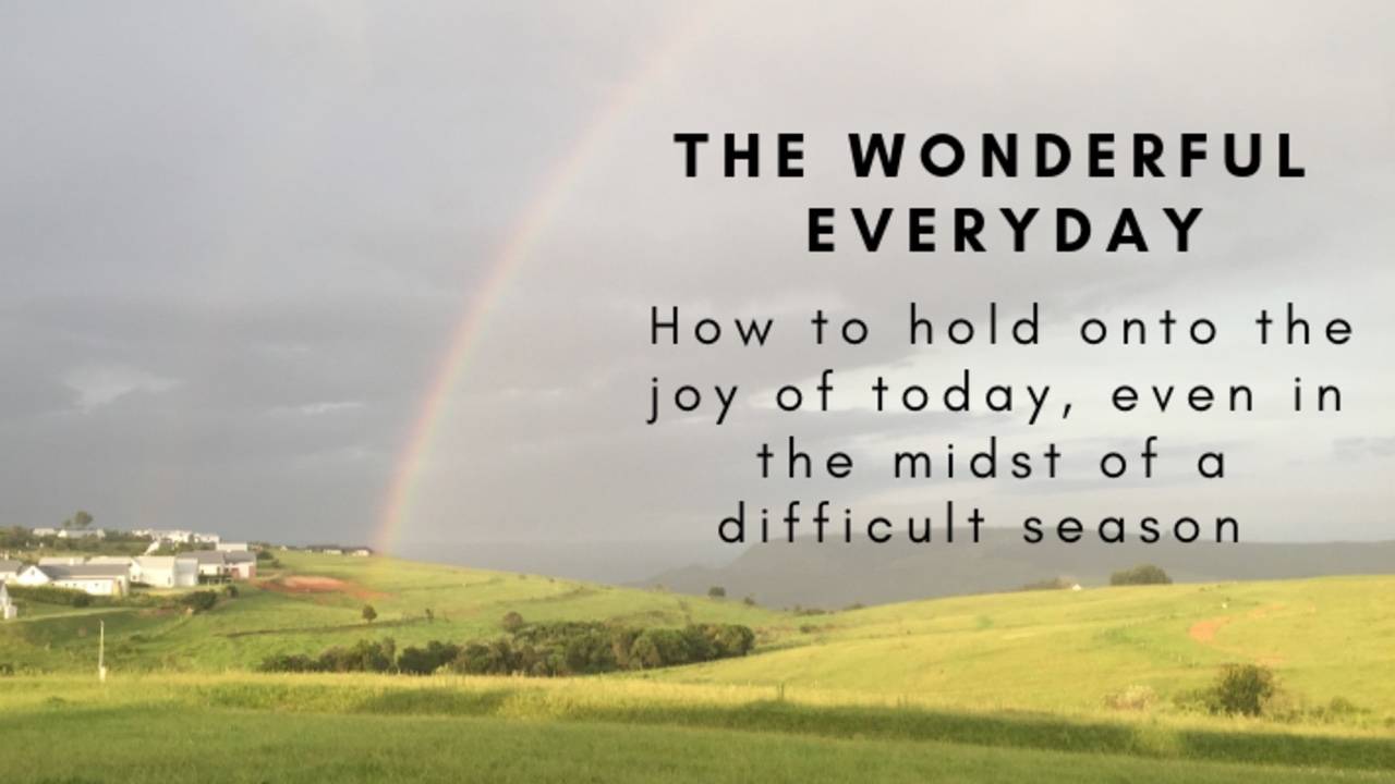 The wonderful everyday