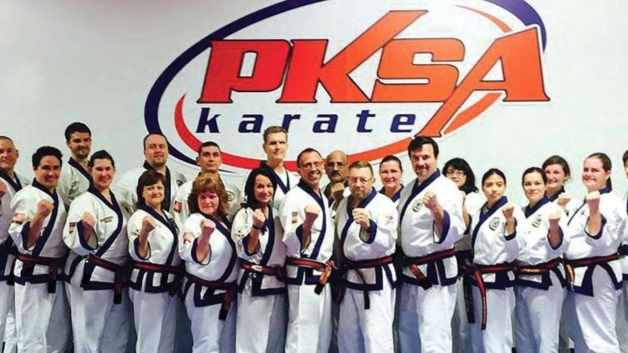 Professional Karate Schools of America: Born in the USA But Now Taking ...