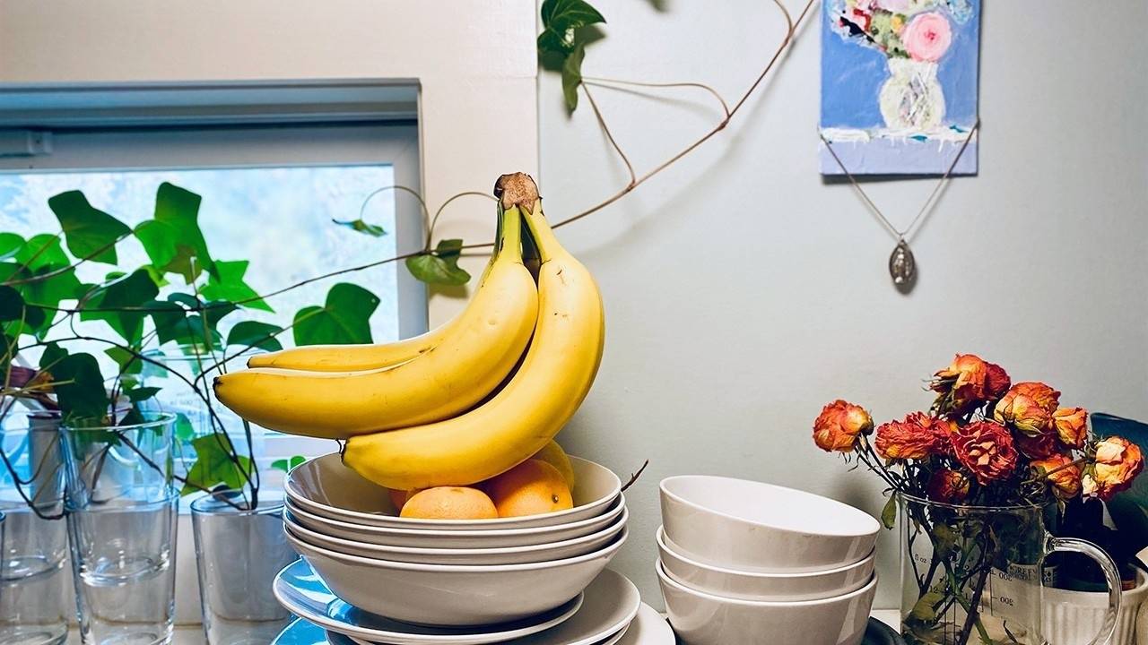 Still Life in Motion