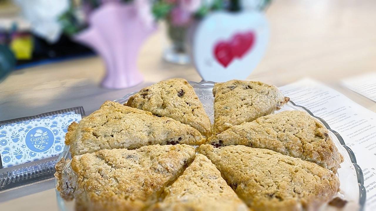 Dried Cranberry Scones