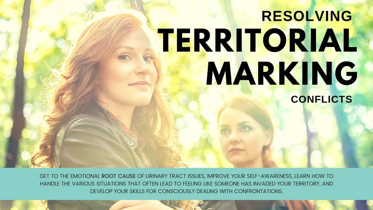 Resolving Territorial Marking Conflicts