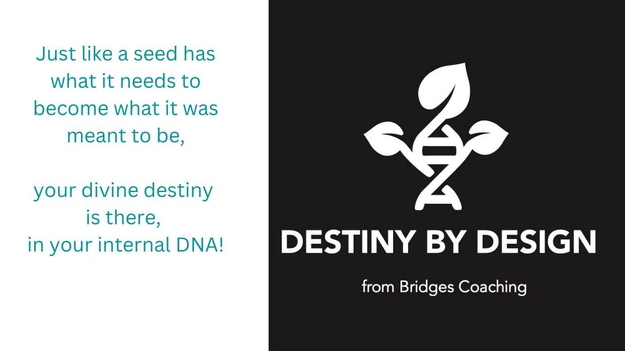 Understanding your divine destiny has never been more accessable!