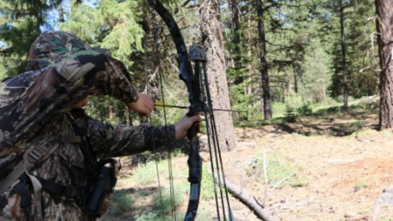 Coaching & Hunting [most men are like this]