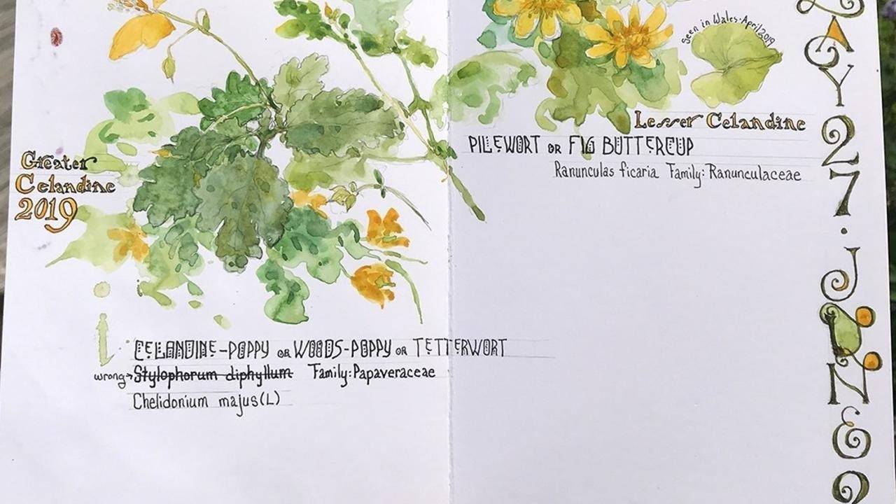 Perpetual Plant Journal