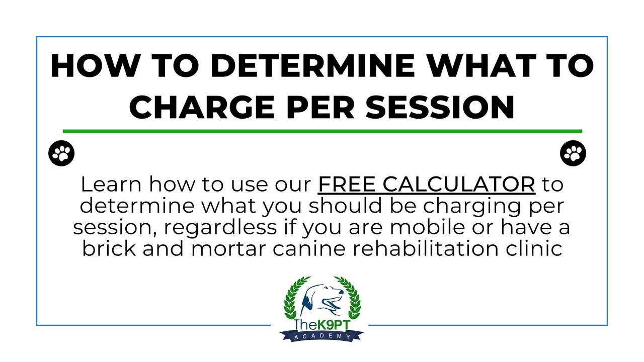 How To Determine What To Charge Per Session