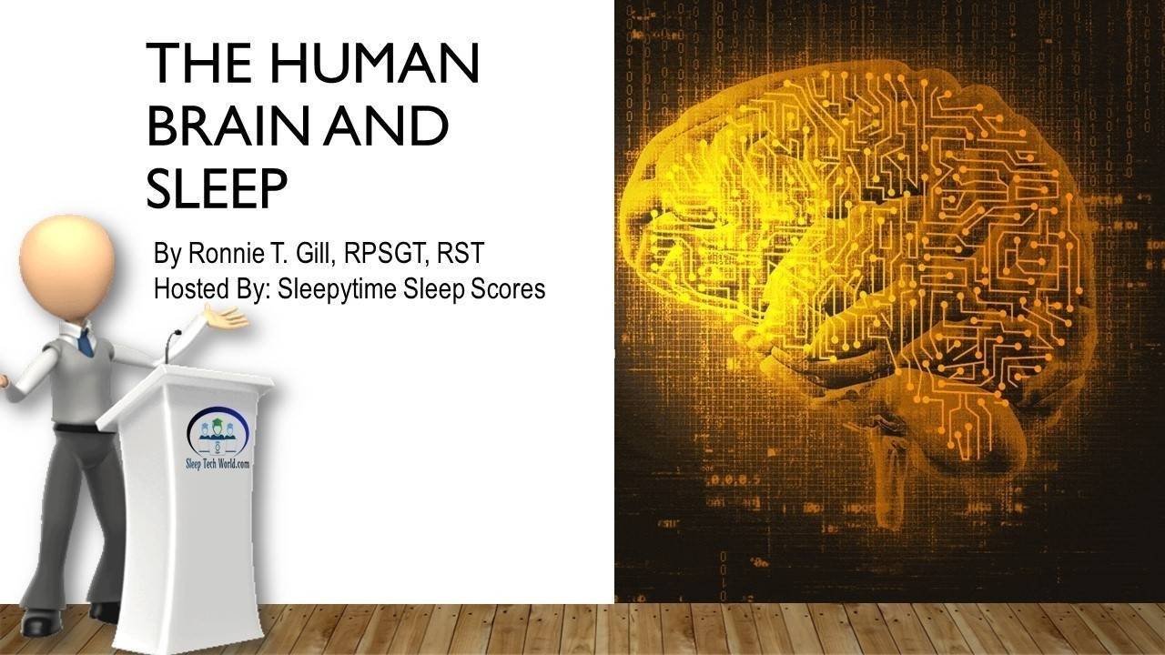 The Human and Sleep