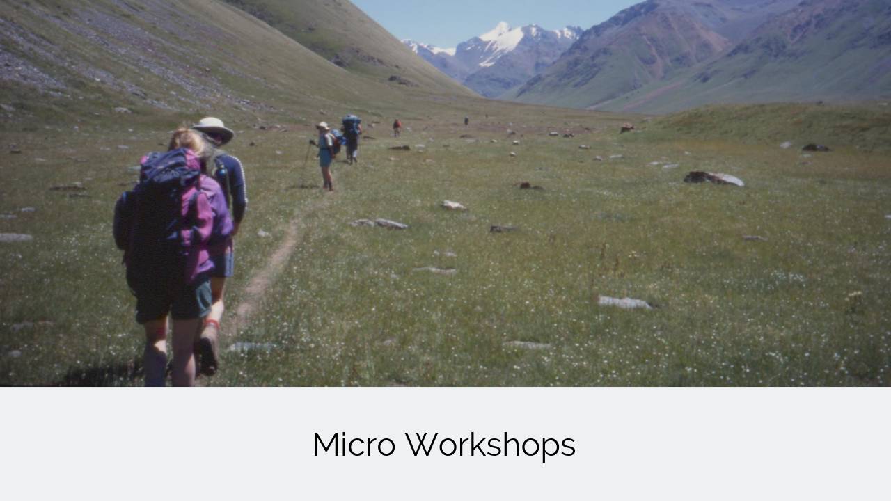 Micro Workshops | In Your Organisation | Dave Cordle Career Coaching