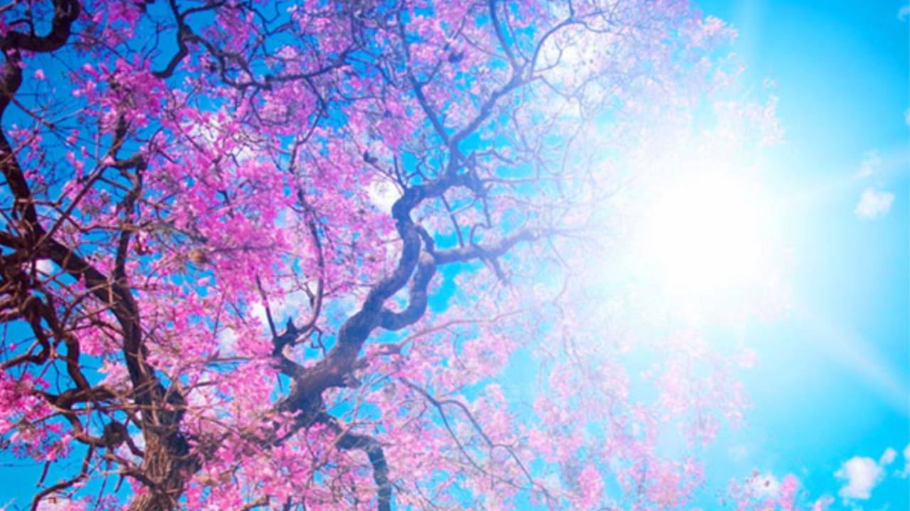 Le 3 regole per una primavera sana e produttiva