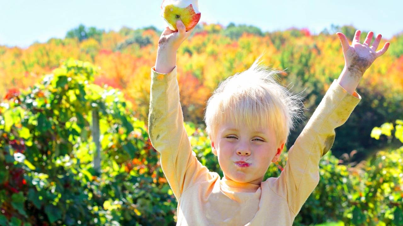 biological triggers for behaviour in children