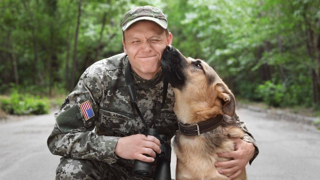 Owner Trained Service Dog Program For PTSD Owner Trained Service Dog Program For PTSD