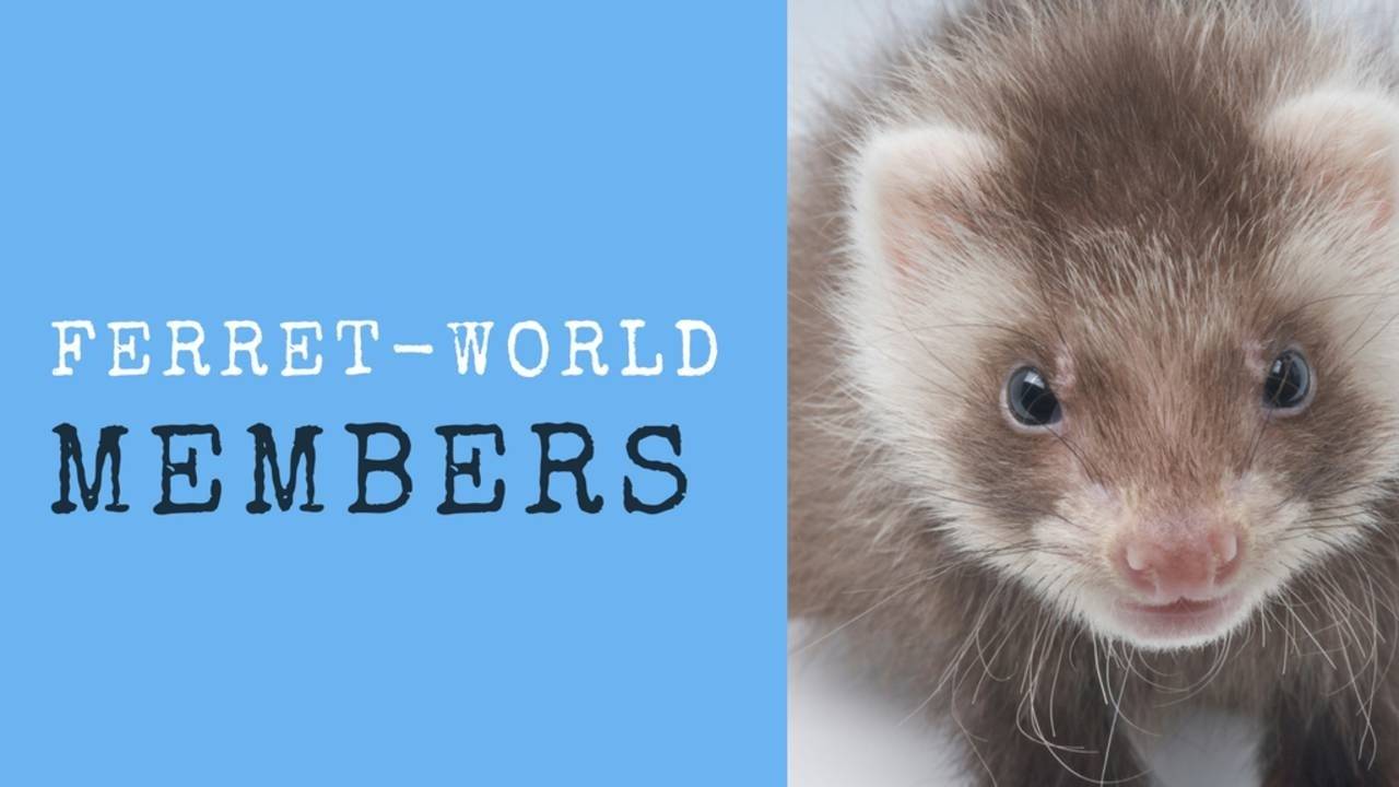Ferret-World.com Membership Program