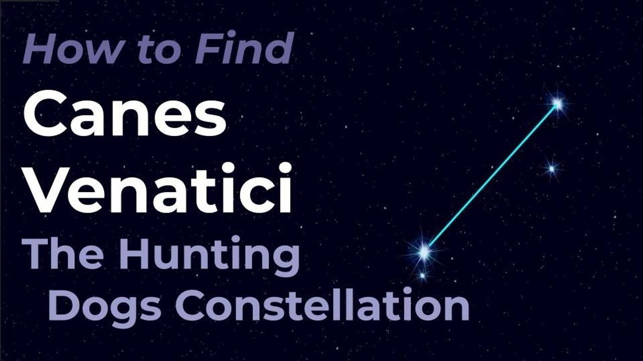 Canes Venatici the Hunting Dogs Constellation