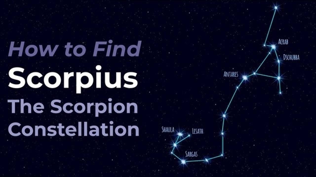 Scorpius the Scorpion Zodiac Constellation