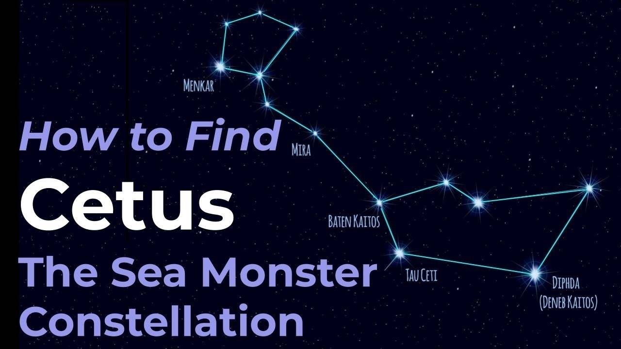 Cetus the Sea Monster Constellation