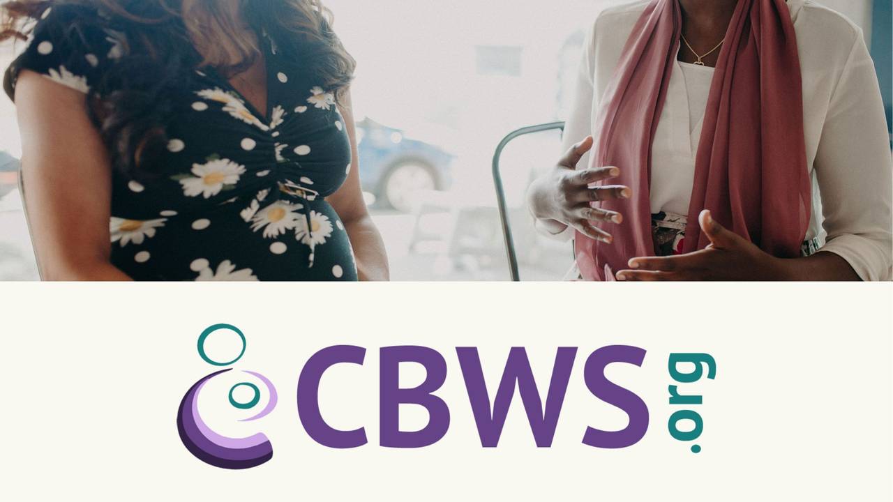 Certified Babywearing Consultant Training | Carrier Certification