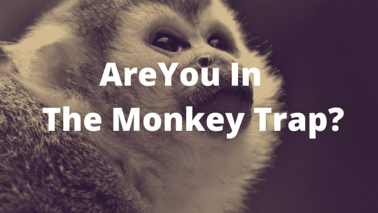 Are You In The Monkey Trap?