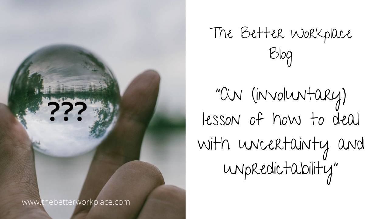 How to deal with uncertainty and unpredictability