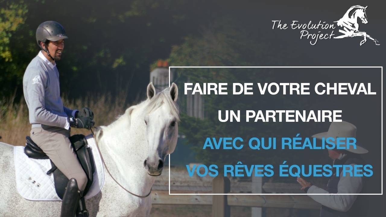 The Evolution Project - Les épisodes