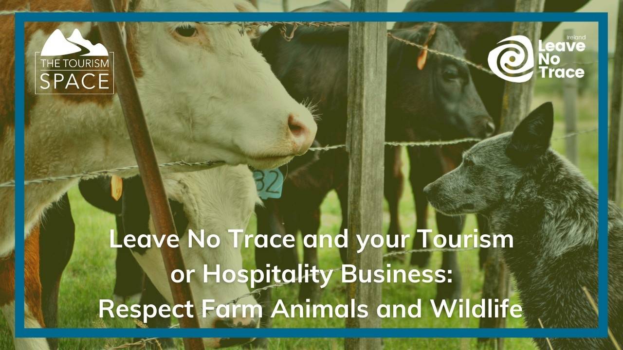 Leave No Trace and Tourism - Respect Farm Animals & Wildlife