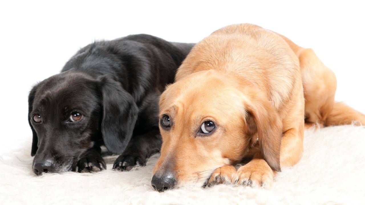 Expat Life: Our terrible, awful, really bad day