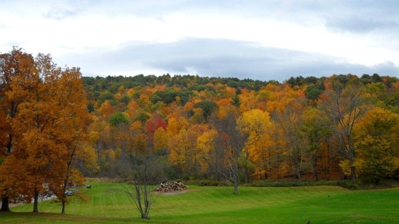 Retirement: Fall Foliage in the Hudson Valley & Art Omi