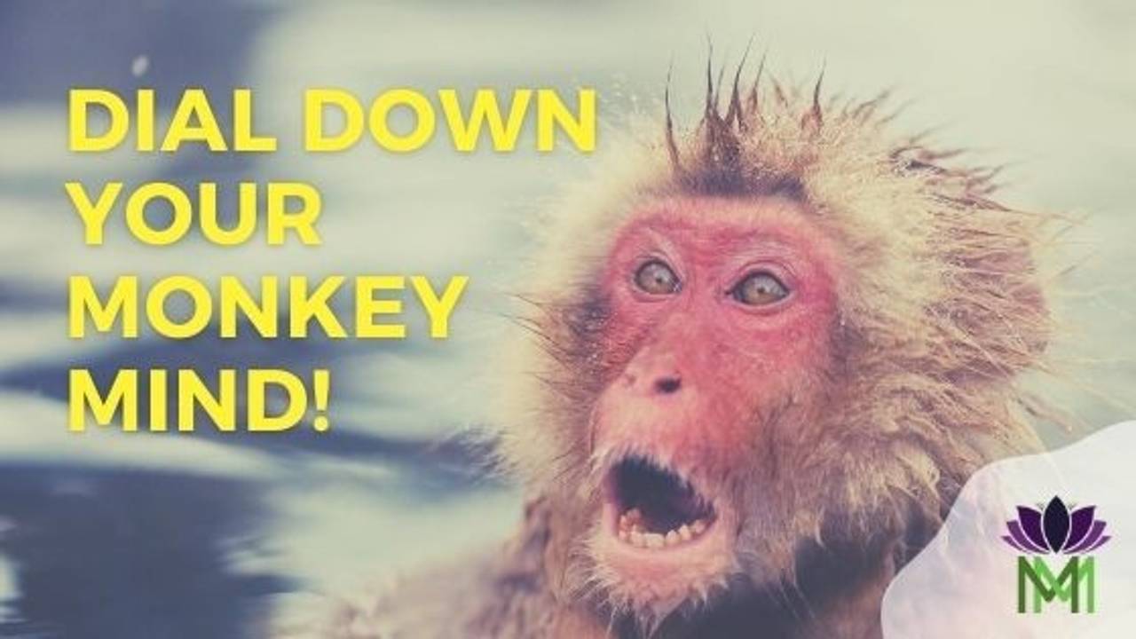 How To Dial Down Your Anxious, Worried "Monkey Mind"