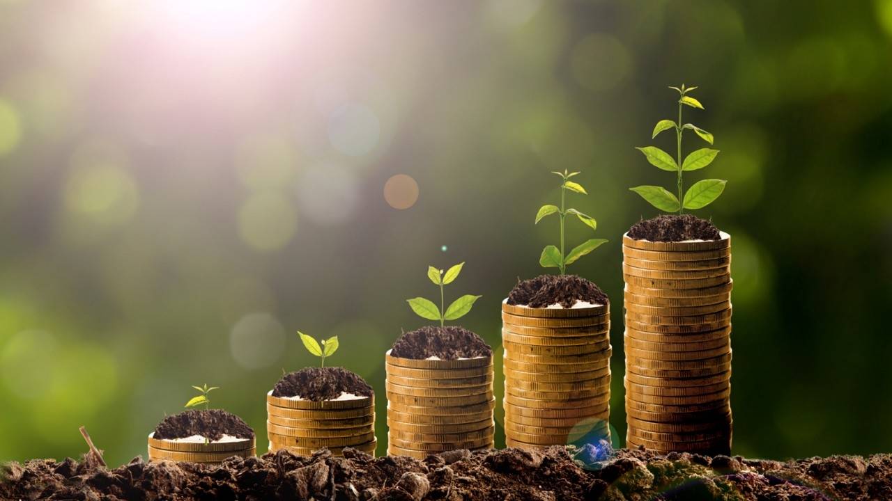 Shape Your Financial Future