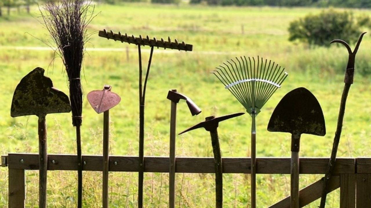 No Rules, Only Tools