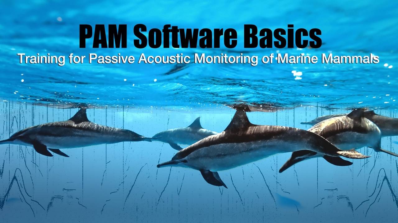 PAM Software Basics - Course Resources