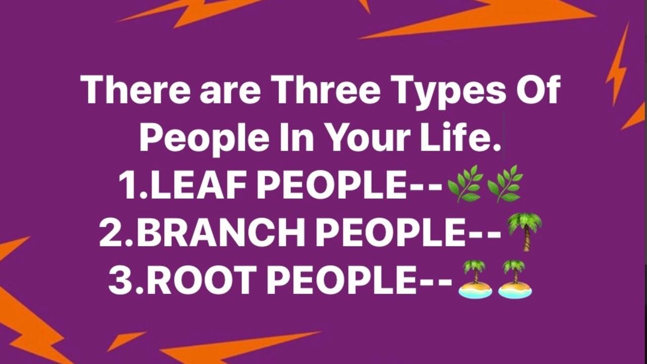 There Are Three Types Of People In Your Life There Are Three Types Of People In Your Life