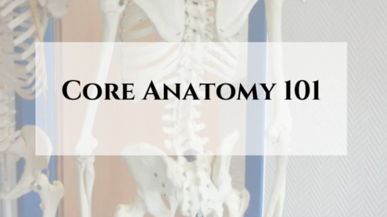 Episode 02: Core Anatomy 101