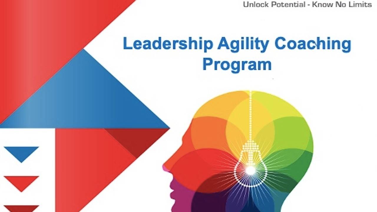 Leadership Agility Coaching Program