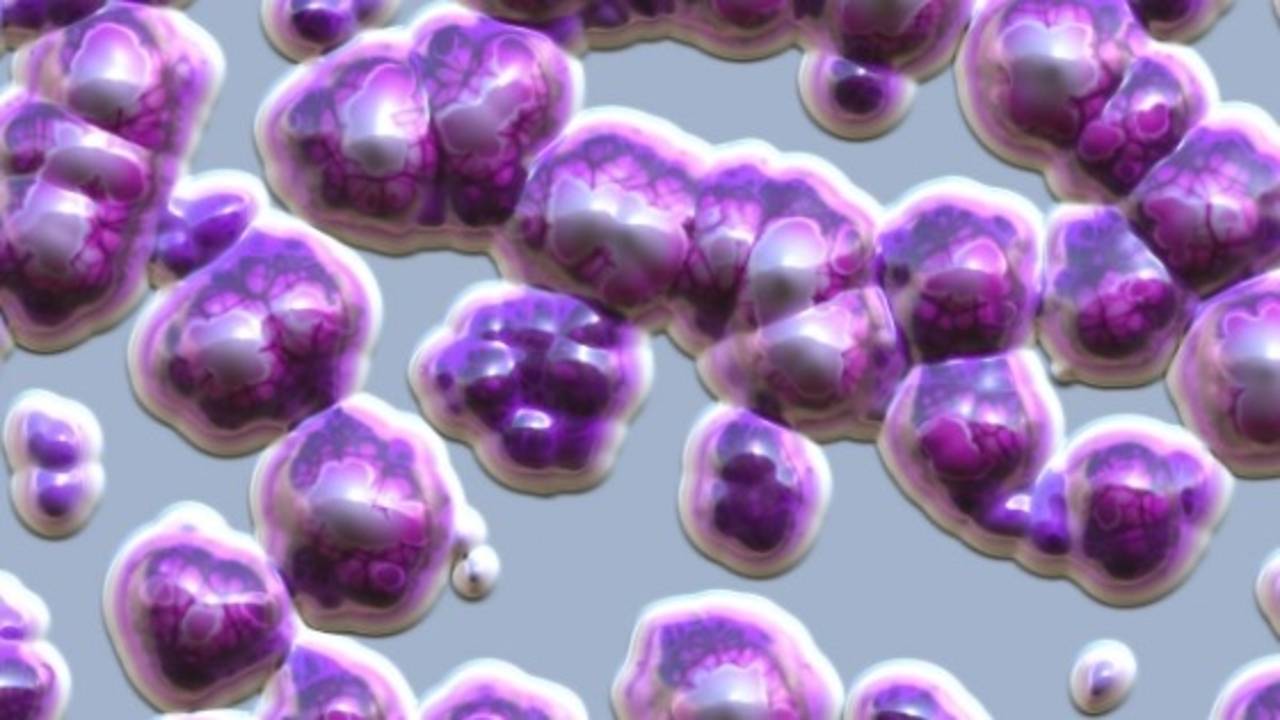 Are Chemicals Making You Sick? The Full List of Obesogens