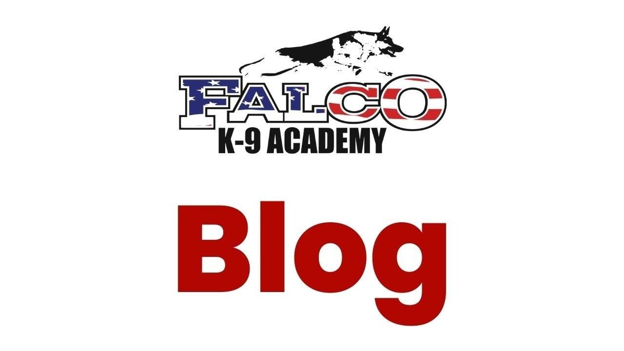 Falco K9 Blog