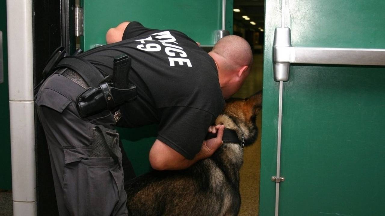 What Makes a Good K9 Handler?
