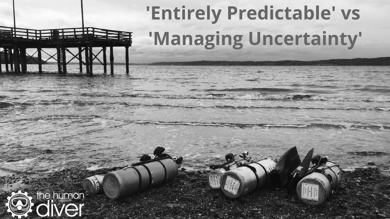 'Entirely Predictable' vs 'Managing Uncertainty'