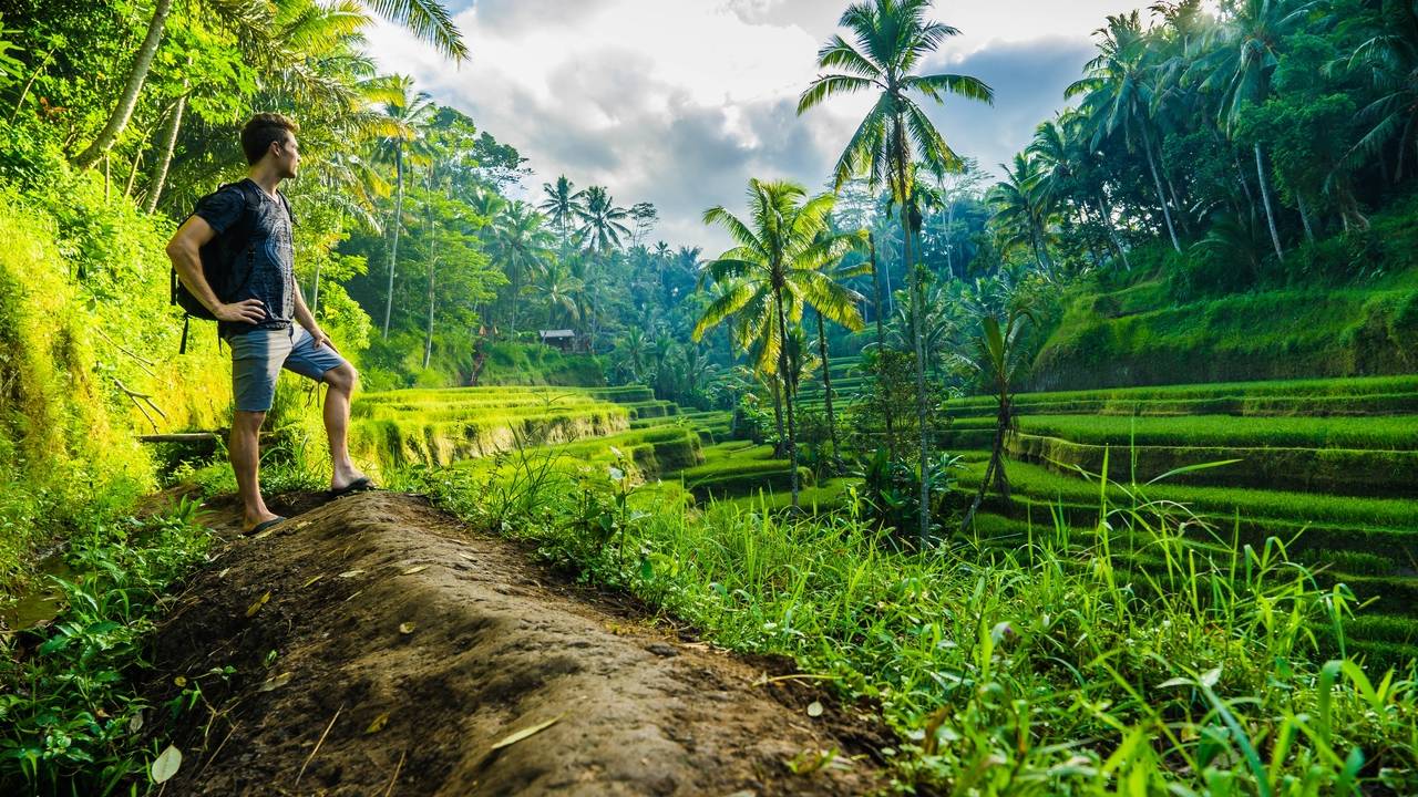 Jonathan Barry - 3x Author, Social Entrepreneur, Quantum Creator